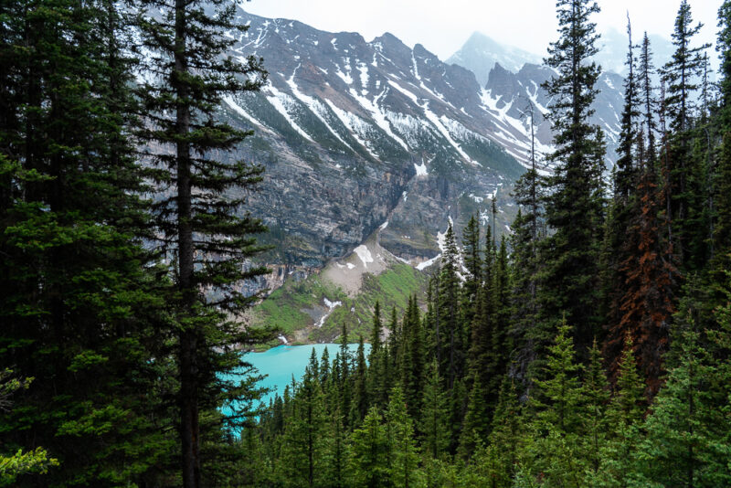 5 Epic Days In Banff National Park: Full Itinerary - It's Logan Marie