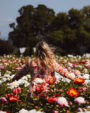 Exploring the Vibrant Spring Blooms: Flowers in Oregon - It's Logan Marie