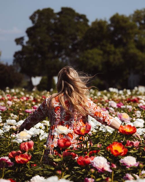 Exploring the Vibrant Spring Blooms: Flowers in Oregon - It's Logan Marie
