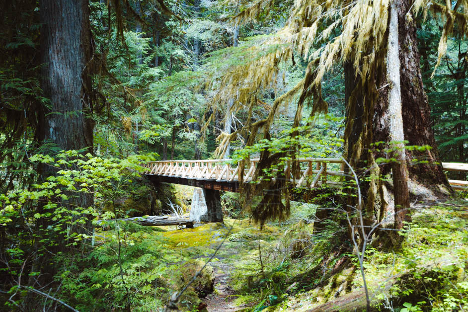 Exploring the Beauty of Bagby Hot Springs in Oregon - It's Logan Marie