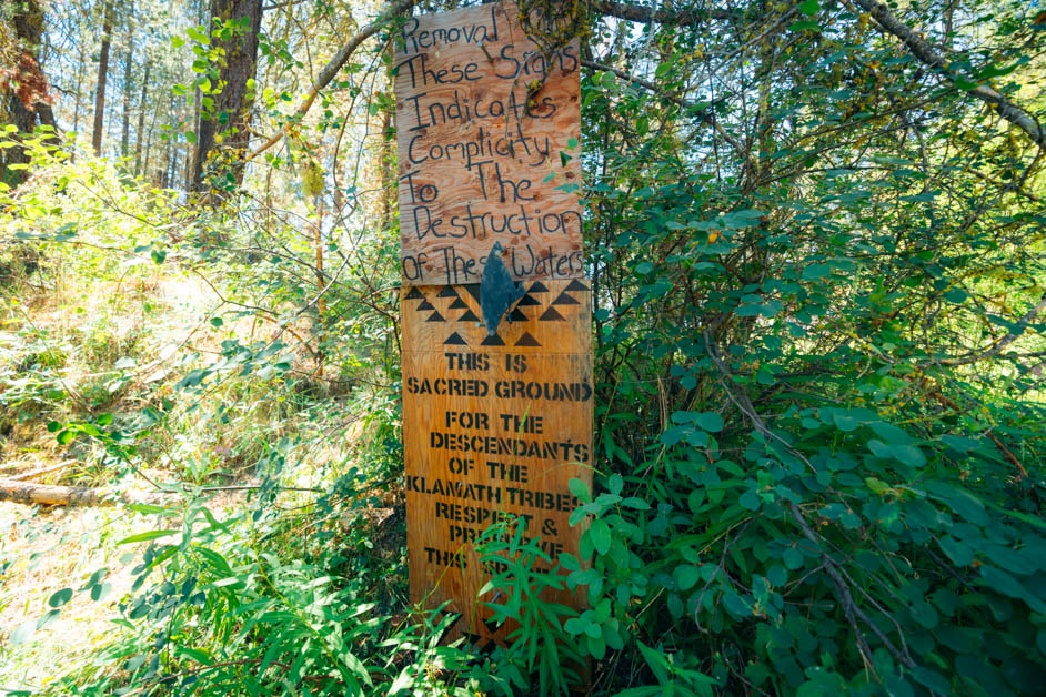 Exploring the Vibrant Waters of Spring Creek, Oregon - It's Logan Marie