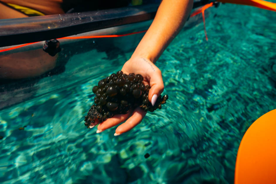 Exploring the Vibrant Waters of Spring Creek, Oregon - It's Logan Marie