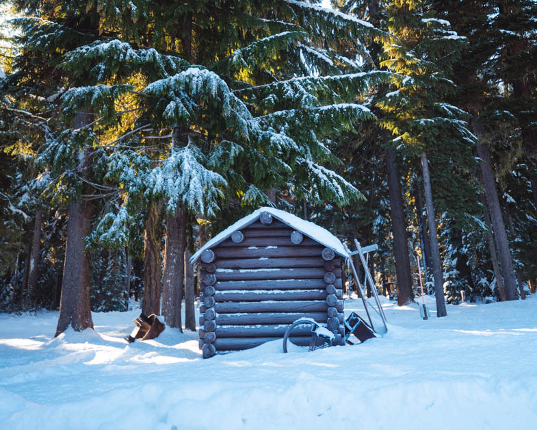 Uncovering the Hidden Charms of Oregon in Winter - It's Logan Marie